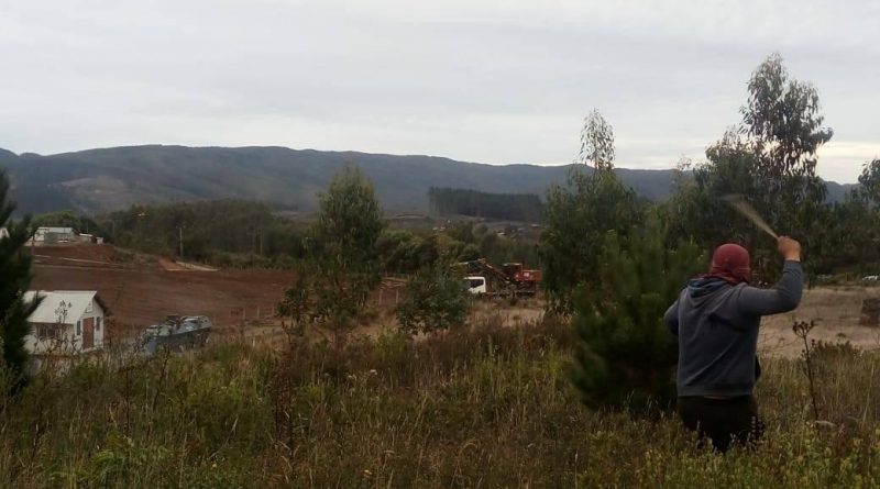 Resistance of the Mapuche Community of Yani, Lov Rali Cura, Against the ...